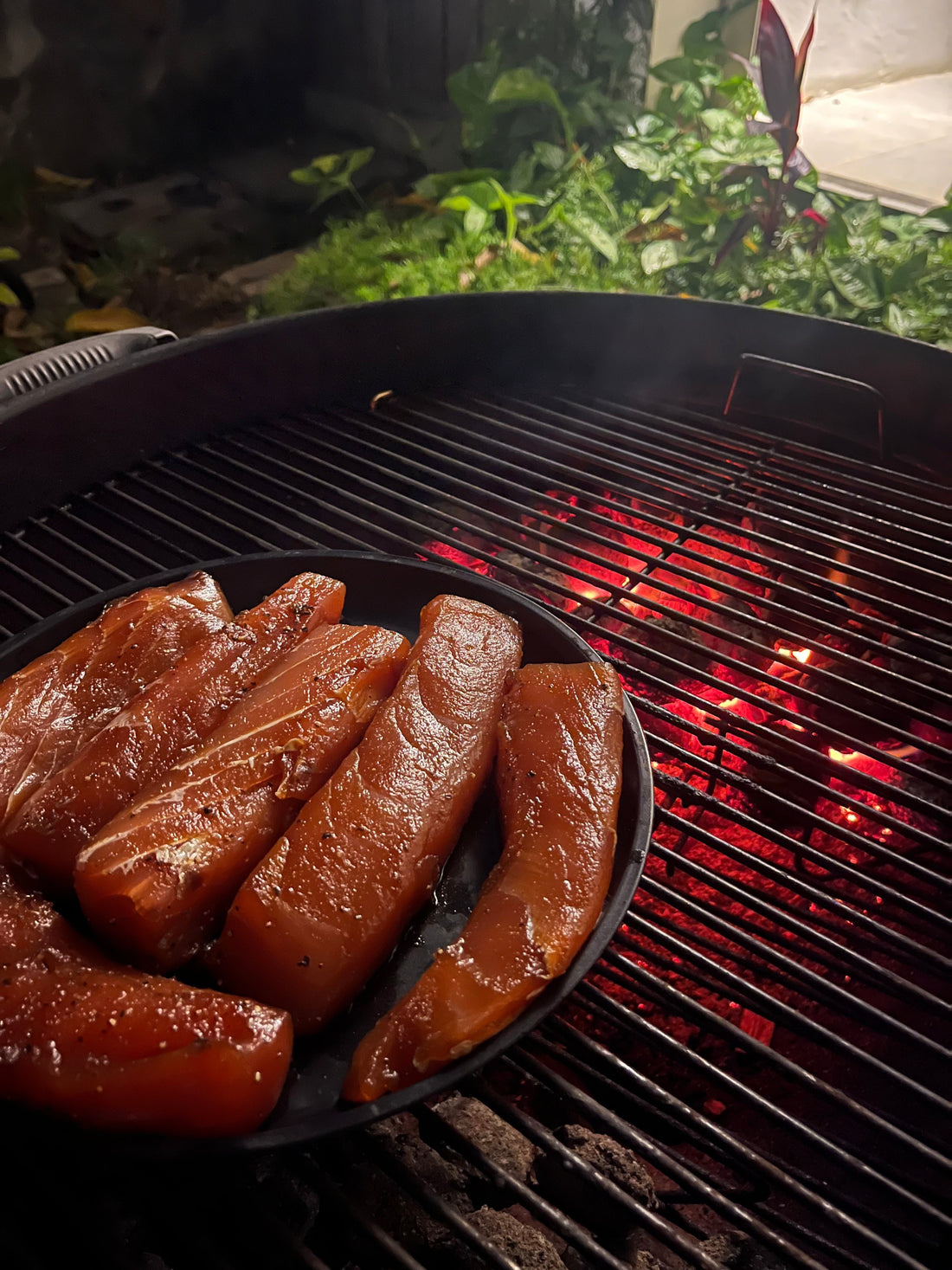 Smoked Spearfish (Yakitori-Style) – The Fishing Outlaws